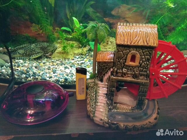 Компрессор Aquael + грот