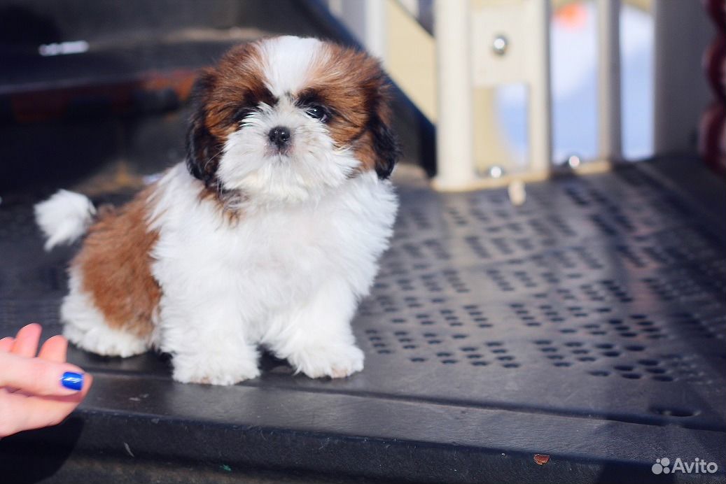 Яркое Солнышко