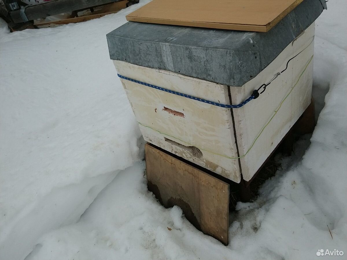 Продается семья пчел с ульем