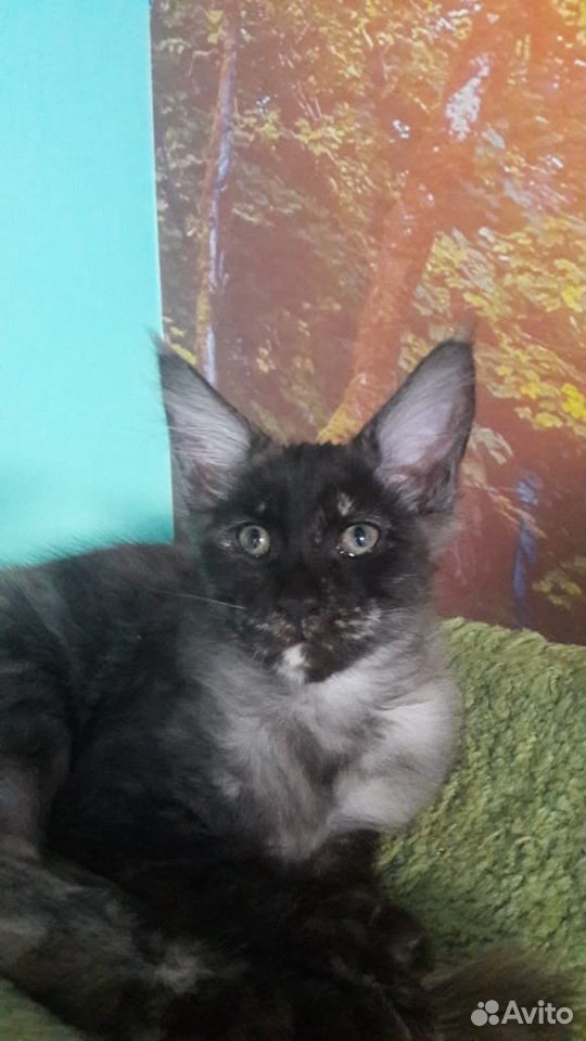 Сатана с ангельской душой