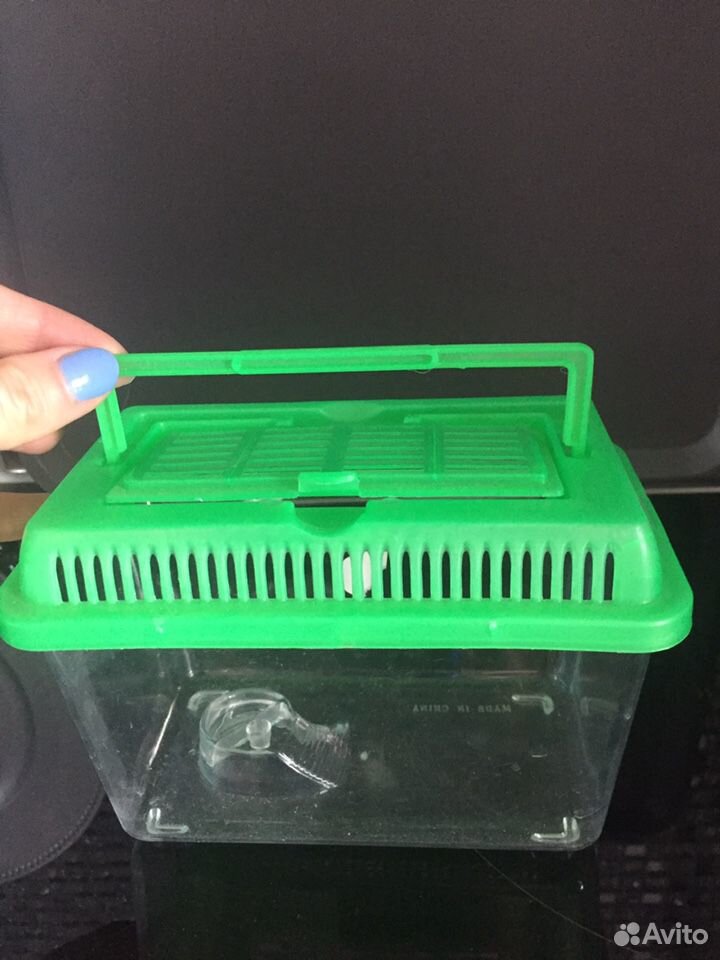 Аквариум мини