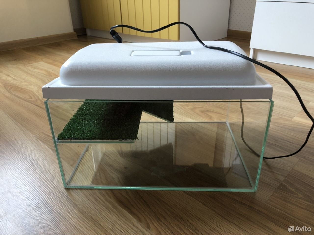 Черепашник