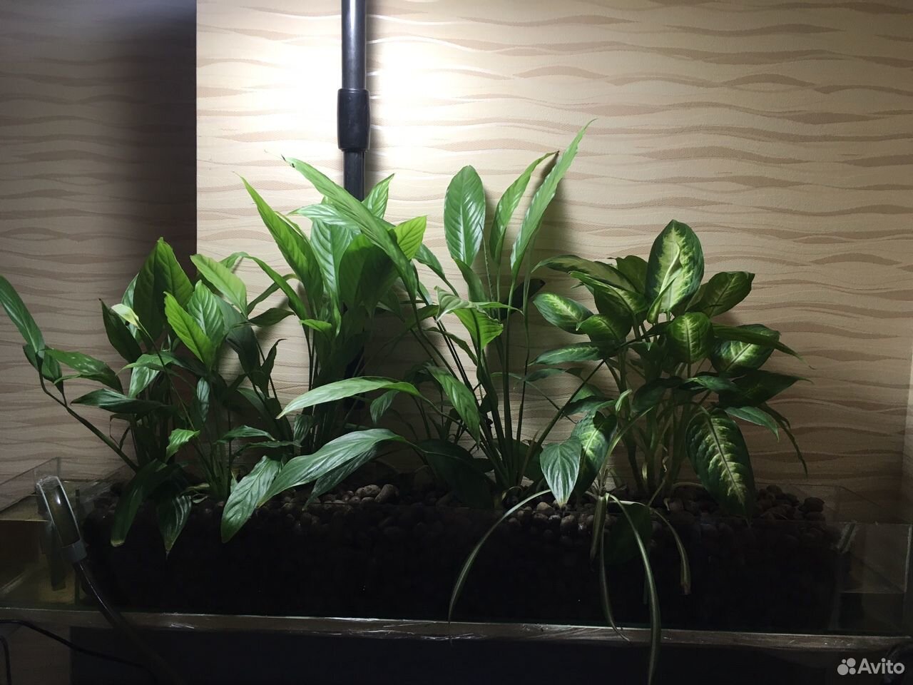 Фитофильтр