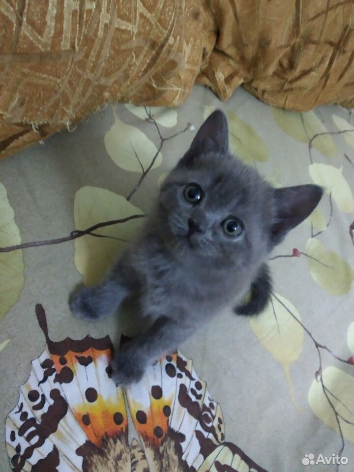 Плюшевая зайка