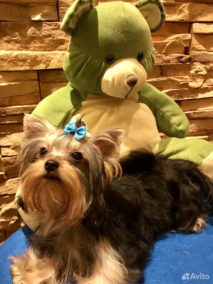 Роскошная девочка мини 6мес