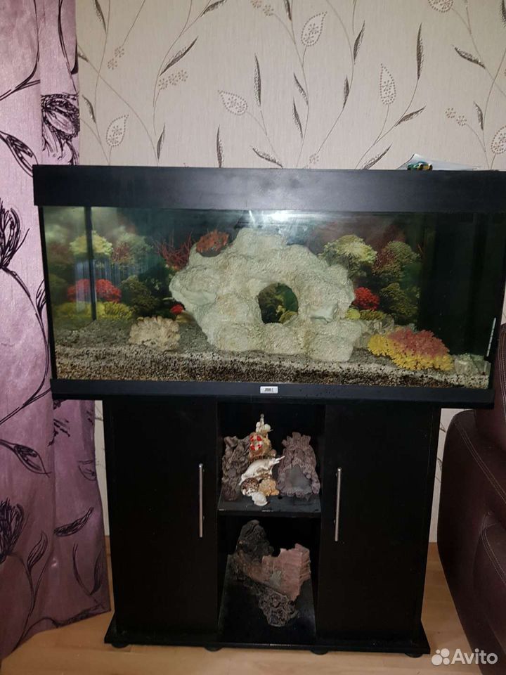 Аквариум