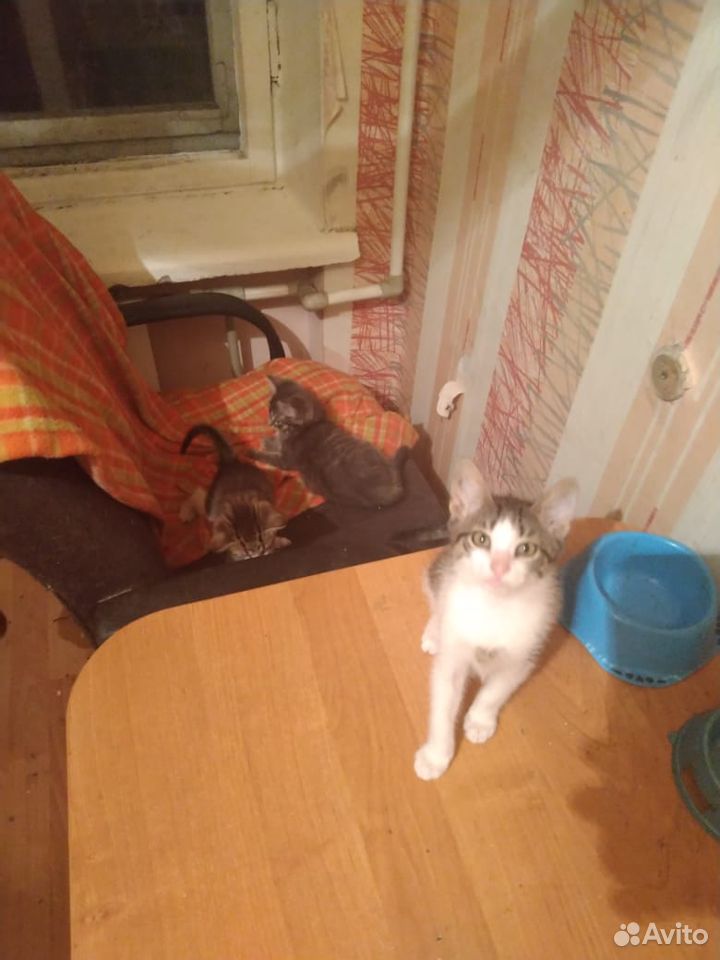 Реальный пацан