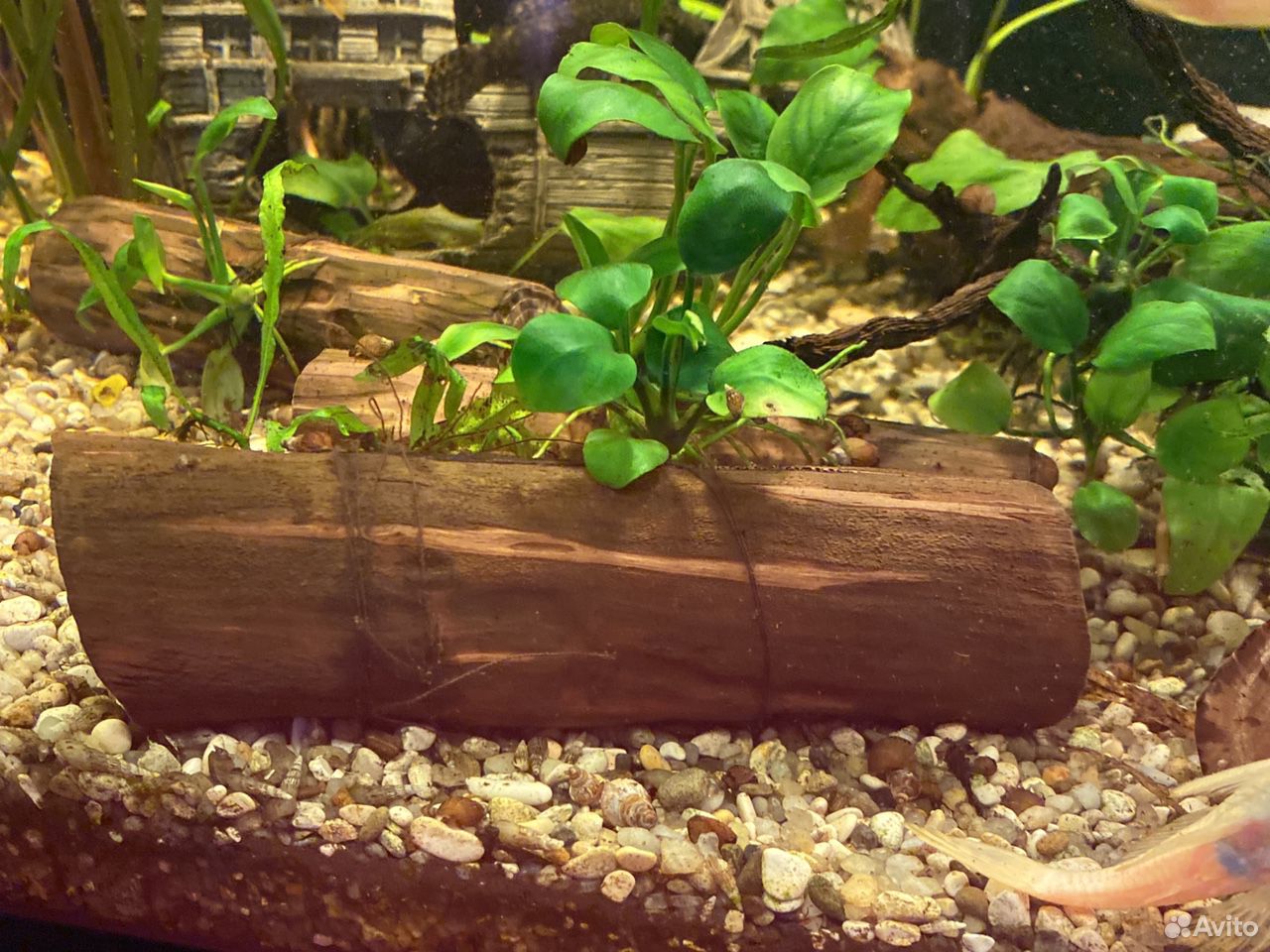 Украшение для аквариума