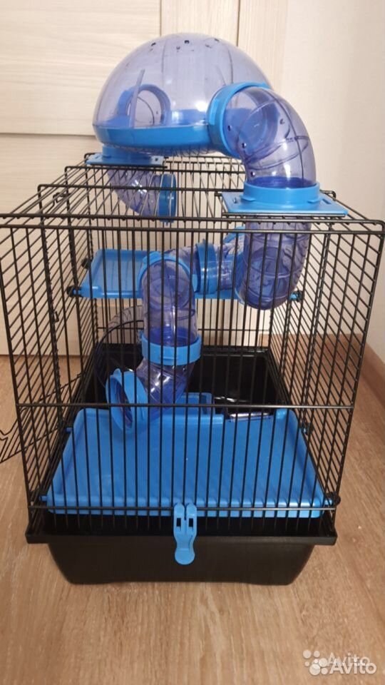 Клетка с белой мышкой