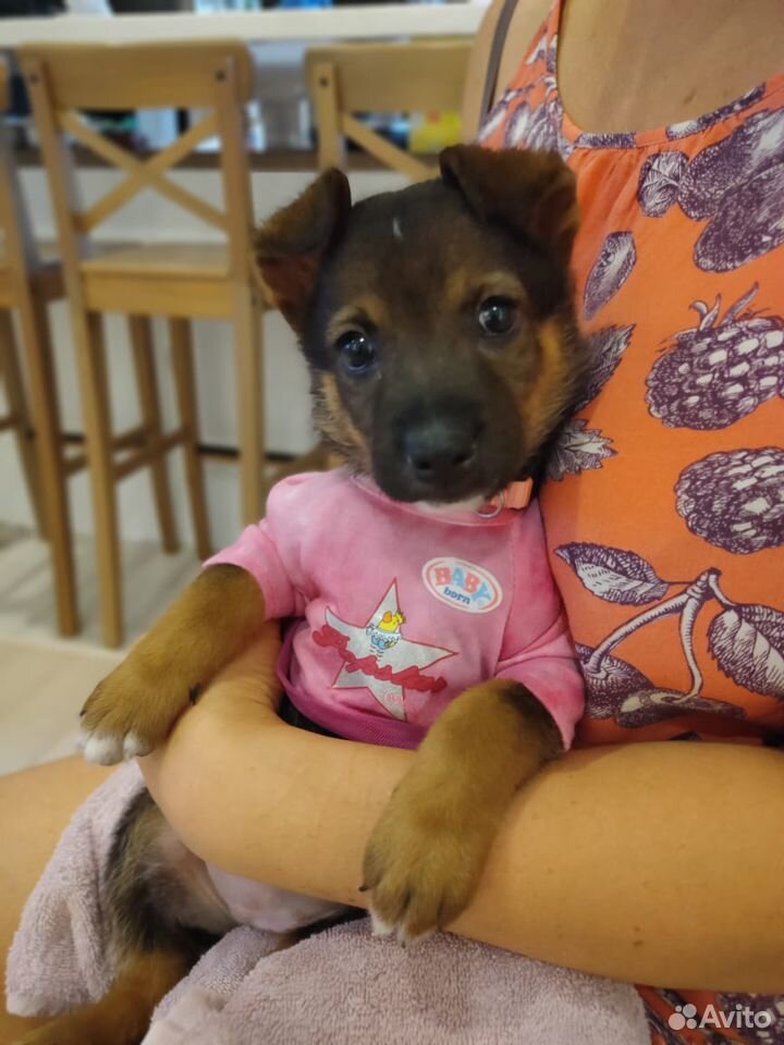 Чудо-девочка в добрые руки