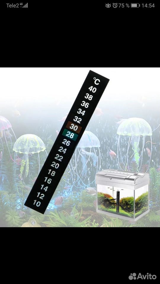 Электронный термометр. градусник. Новый