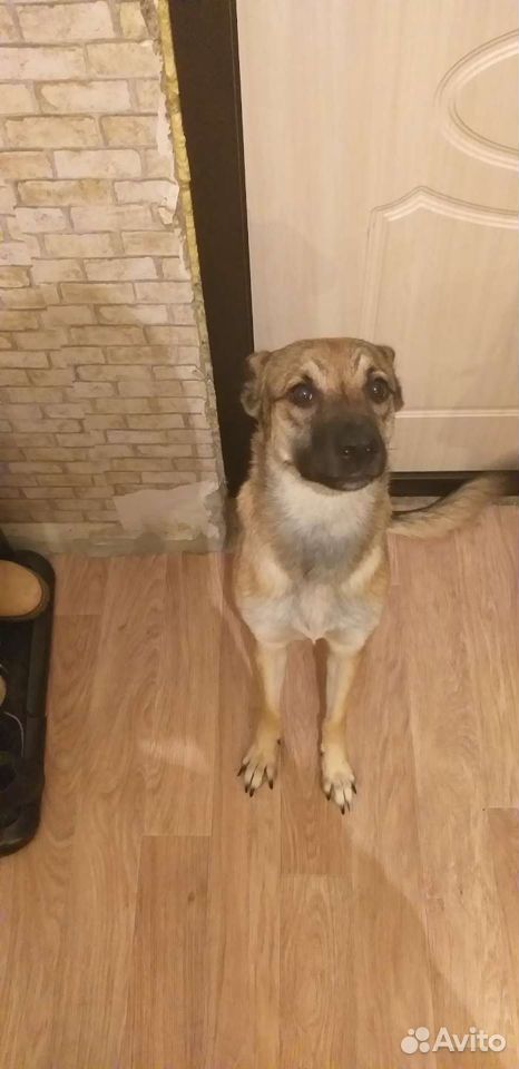 Метис Малинуа