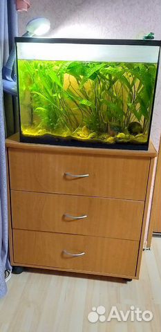 Аквариум