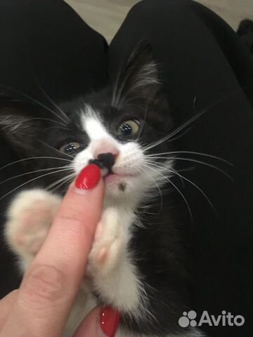 Счастье на ладошке