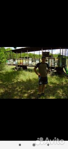 Продаю пчелосемьи, можно вместе с ульями