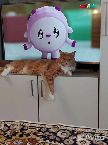 Мэйн кун вязка