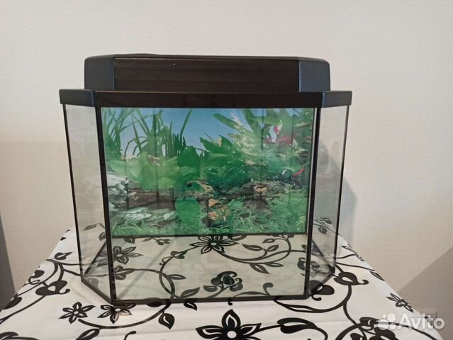 Аквариум и фильтр для аквариума