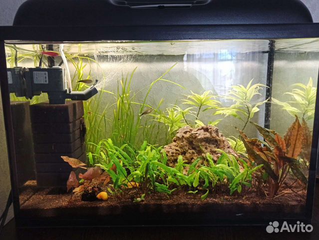 Аквариум с крышкой