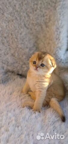 Маленькое солнышко