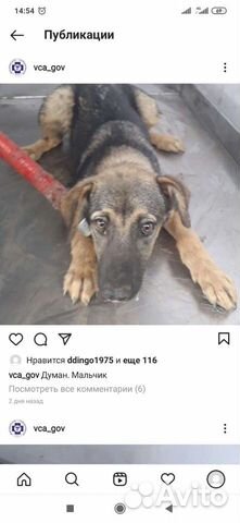 Через пару дней нас мучительно убьют, спасите кто