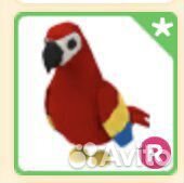 Попугай райд адопт ми / parrot adopt me