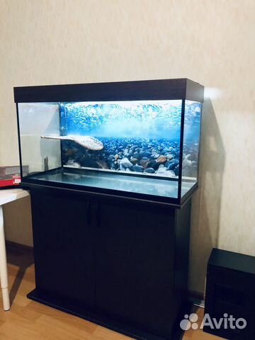 Аквариум/акватеррариум 200 л