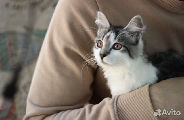 Умница и красавица Маруся