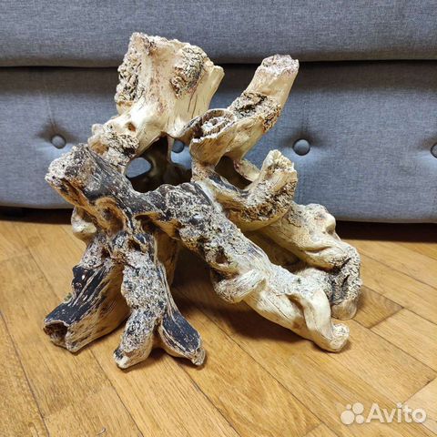 Коряга, песчанник
