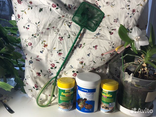 Корм для черепах Repto Min и Торти