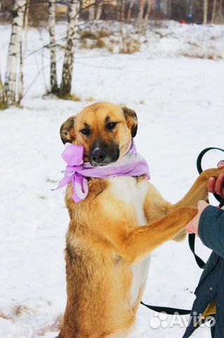 Помоги мне выжить
