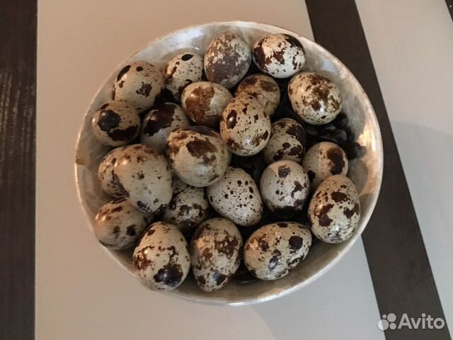 Перепела месячные манжуры фараоны