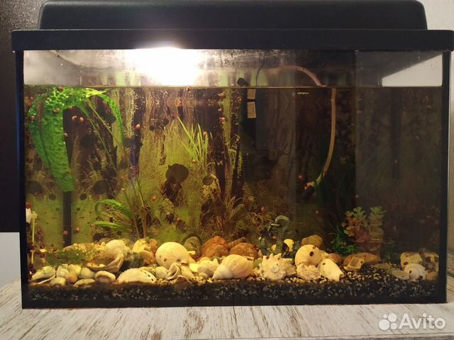 Аквариум