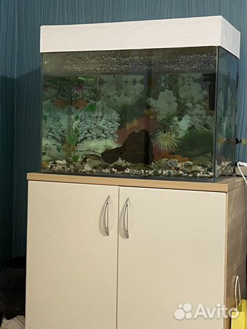 Аквариум 105л