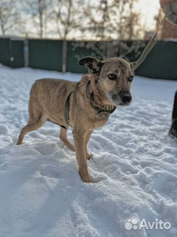 Лиля 10 лет за решеткой приюта