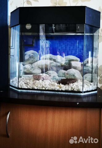 Аквариум 15-20 л