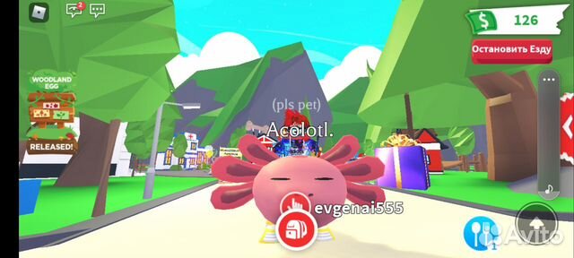 Петы в адопт ми. Аксолотль райд