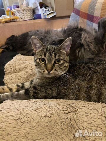 Луша ждёт своих родителей