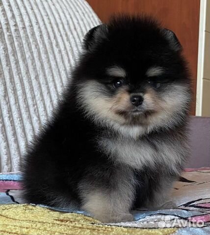 Мальчик пом