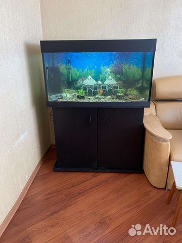 Аквариум на 270-300 л. полный комплект. с рыбками