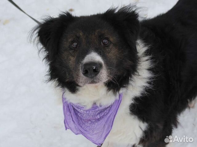 Жалеет что родился