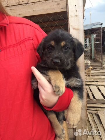 Классный пацан