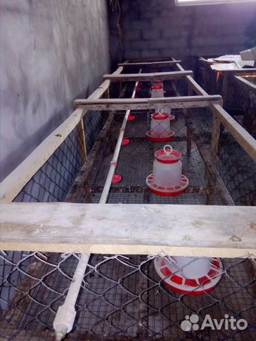 Клетка для бройлеров б\у
