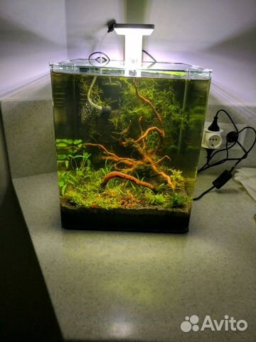 Cветильник Aquael Leddy Smart LED II Plant белый 6