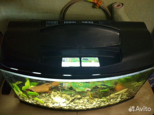 Аквариум понарамный
