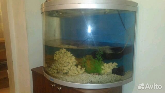 Аквариум jebo R790, полукруг, 90*45*65. 169лВмести