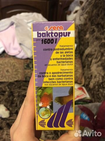 Sera baktopur