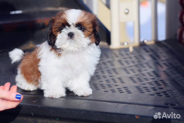 Яркое Солнышко