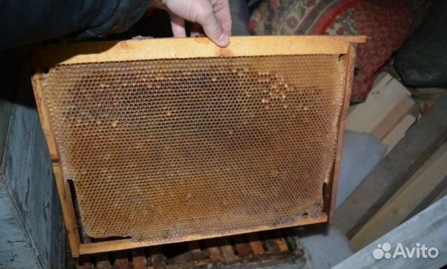 Пчелиная суш