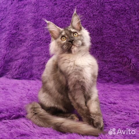 Космическая девочка с шикарными кистями