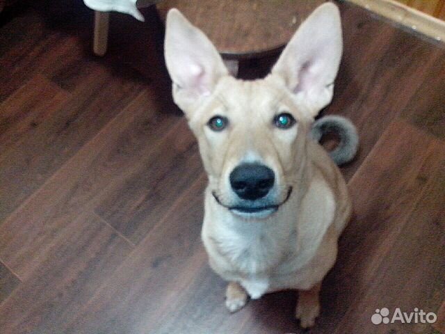 Подросточек Ромик в квартиру